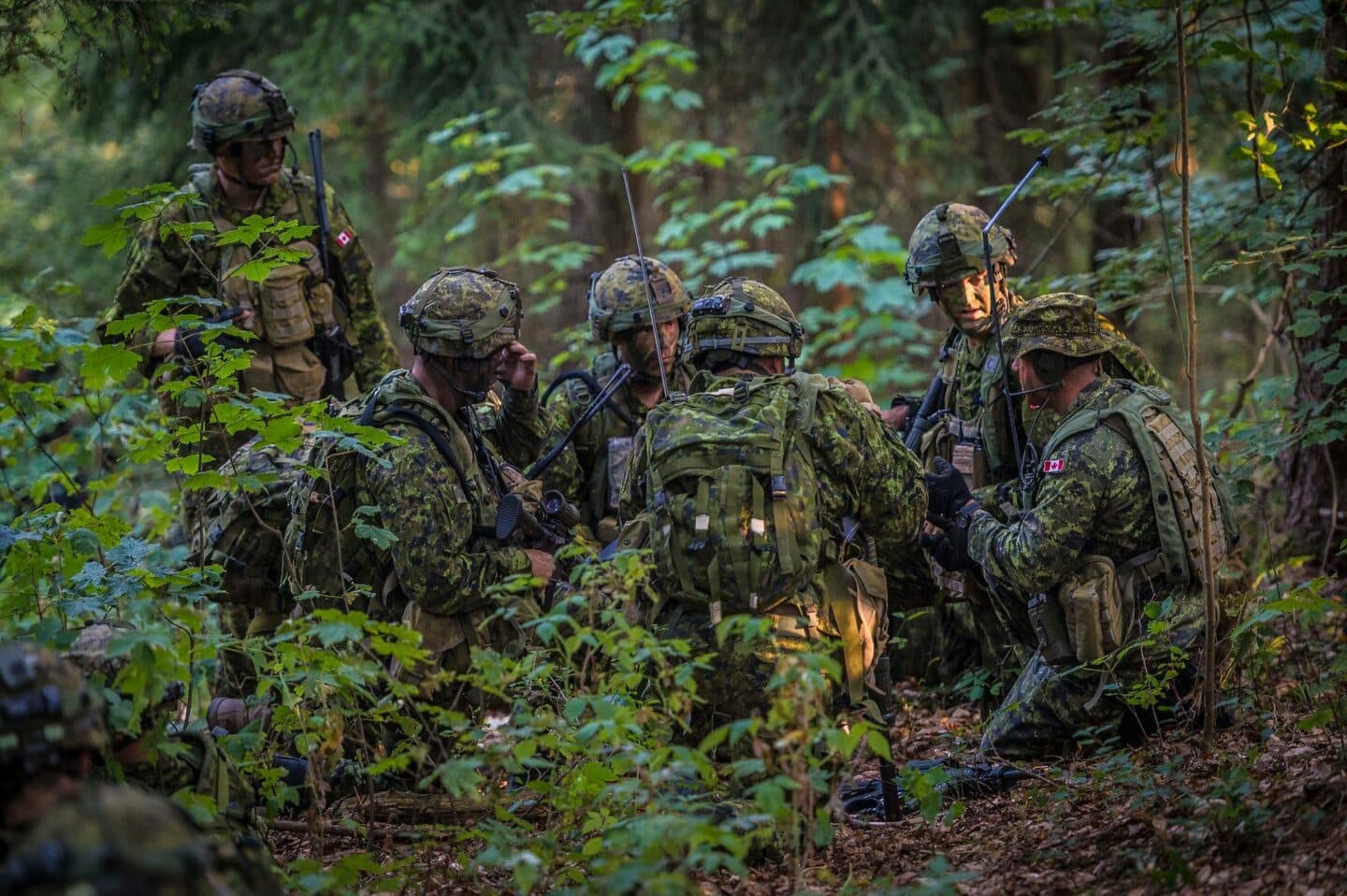 Military Interoperability - Joint Operations - NATO Communications